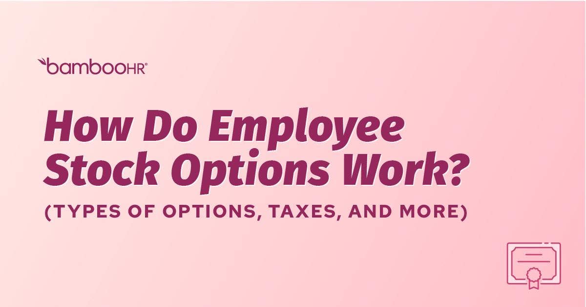 Everything You Need to Know About Employee Stock Options