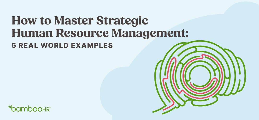 Strategic Human Resource Management Examples + How to Develop a Plan