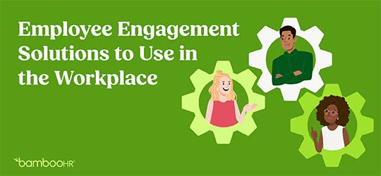 Employee Engagement Solutions to Use in the Workplace