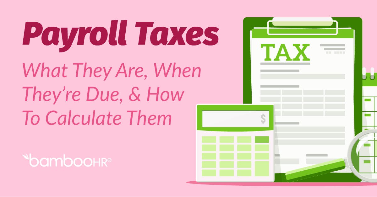 What Are Payroll Taxes? A Guide to State and Federal Tax Withholding